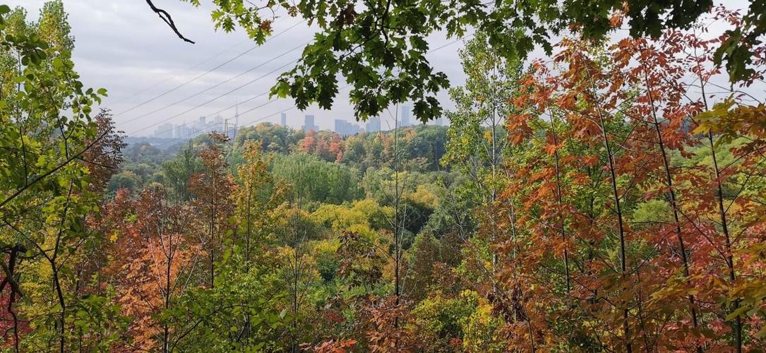 Toronto’s Top 5 parks to take in fall spectacle