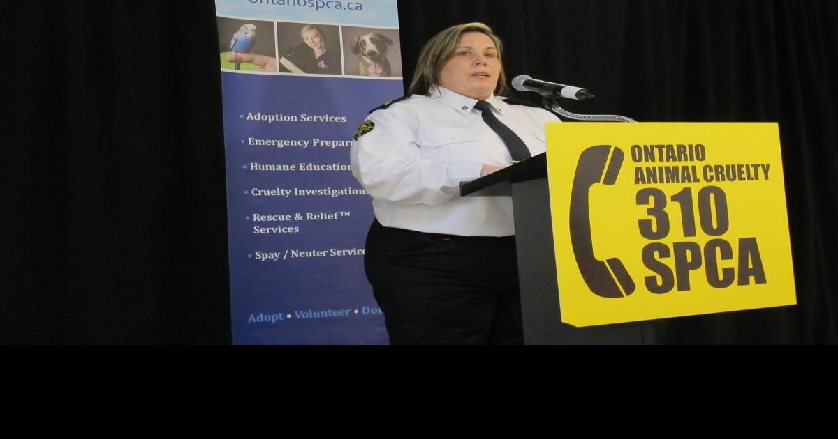 OSPCA wants out of horses and livestock cruelty probes, blames funding ...