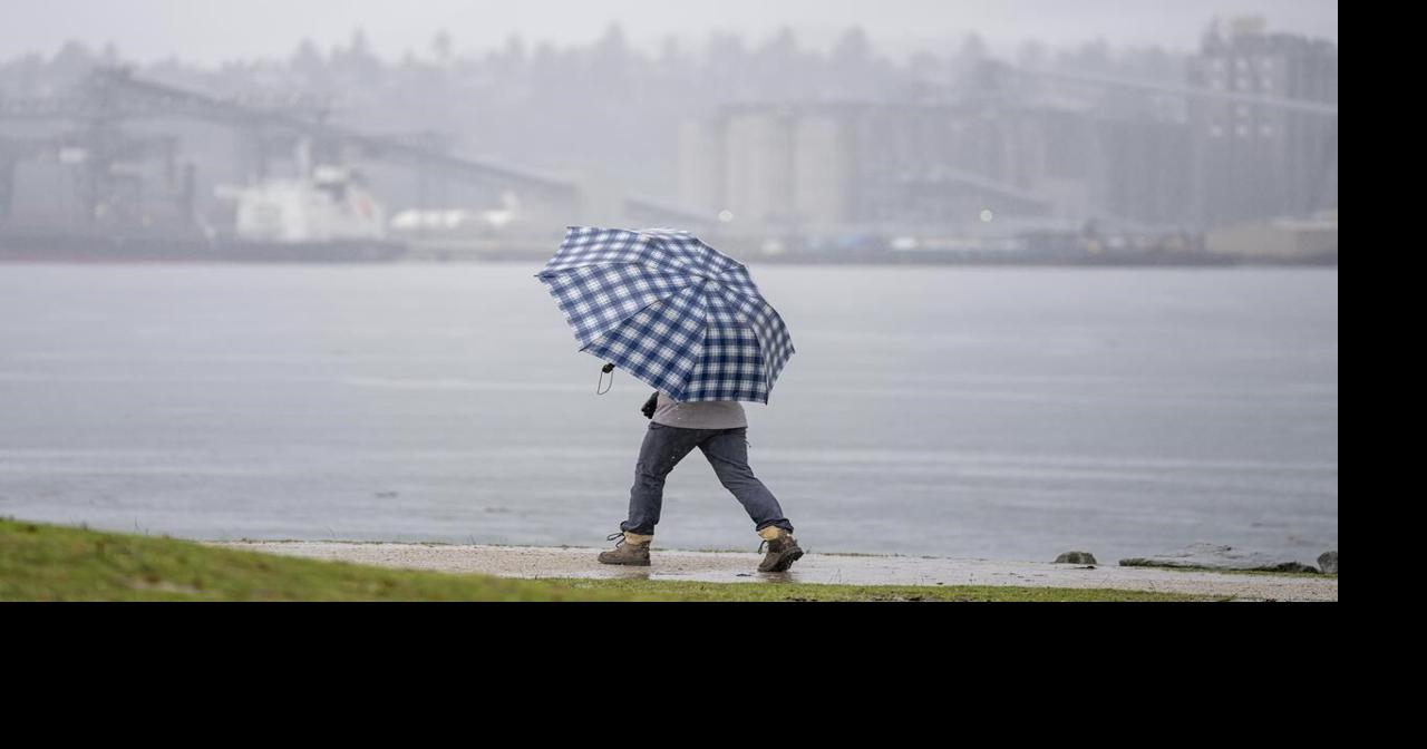 Flurry of weather warnings for B.C. south coast, with up to 120 mm of ...