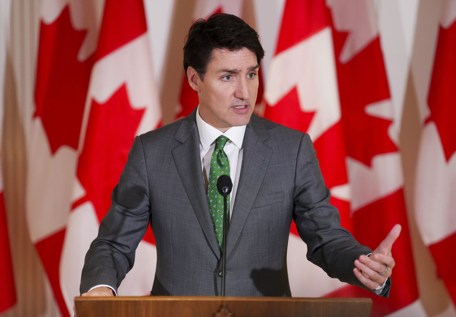 Canada has a fentanyl czar. What is a czar?