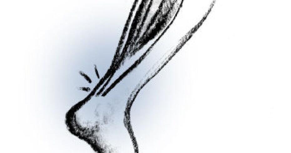 The Achilles tendon: Fascination facts about body parts