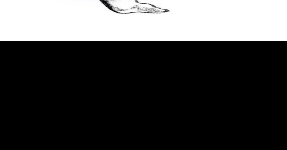 The Achilles tendon: Fascination facts about body parts