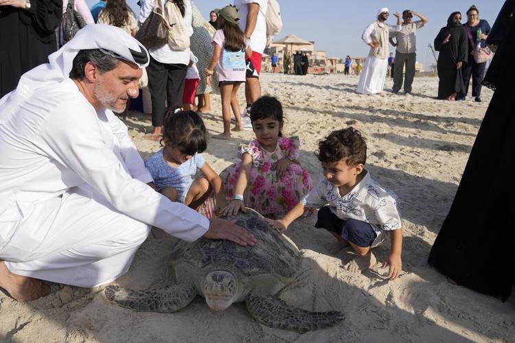 In United Arab Emirates, struggling sea turtles get a helping hand
