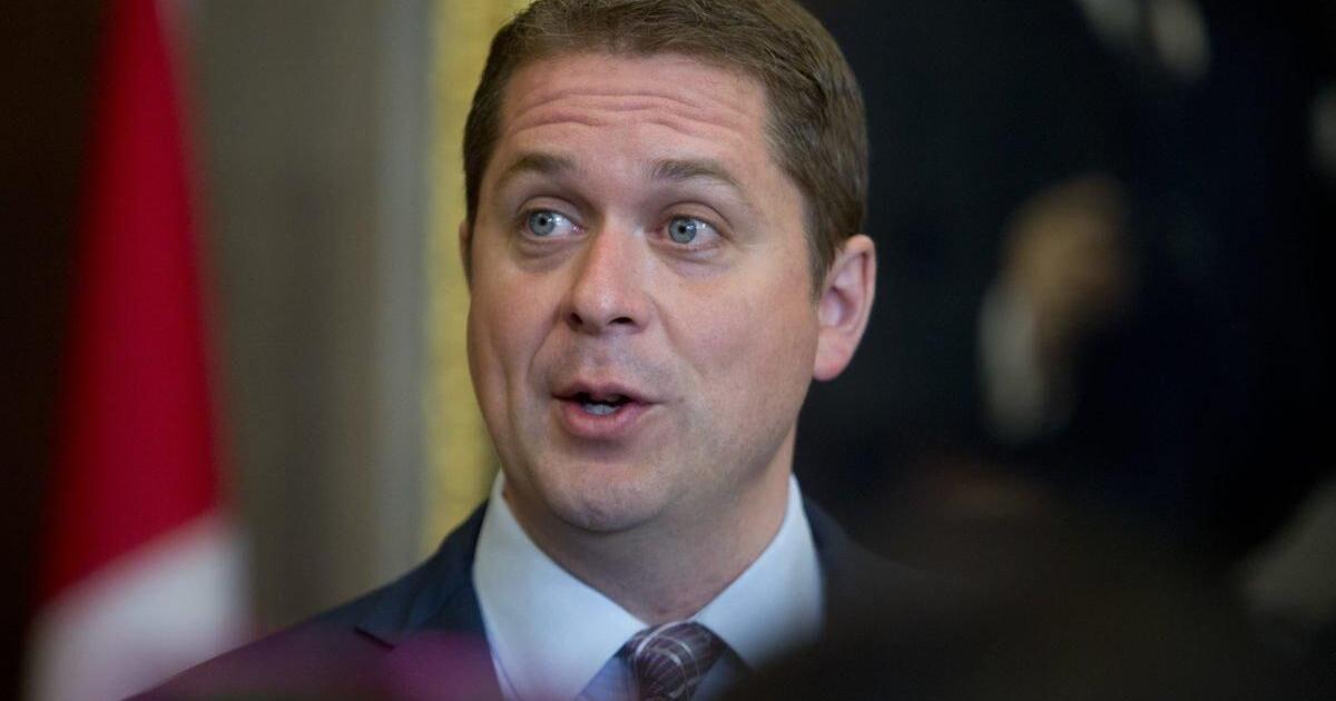 What kind of Conservative is Andrew Scheer?