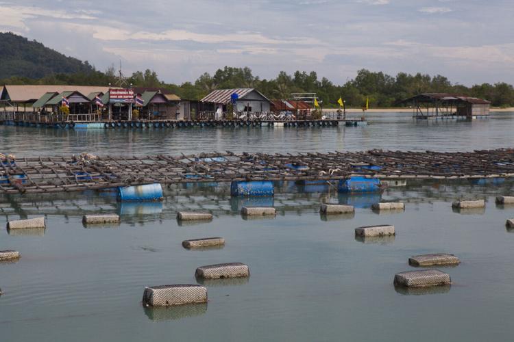 A photographic tour of three Asian pearl farms