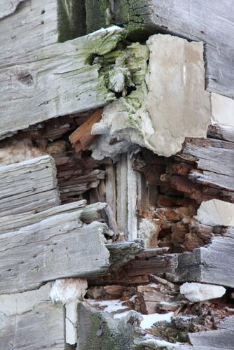 Petch House stirs protective feelings