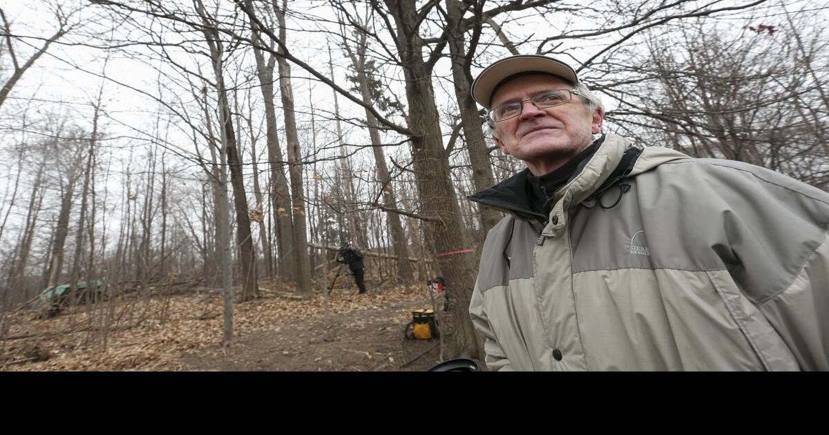 Vimy Ridge oak tree honouring Canadian soldiers could soon be planted ...
