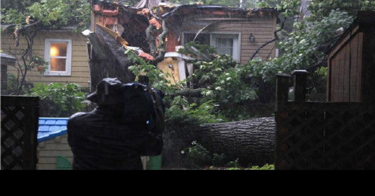 'The roof fell in on top of the bed': Family describes waking as tree ...