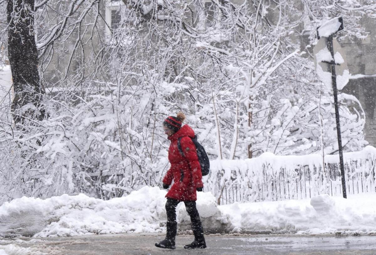 cold environment climate