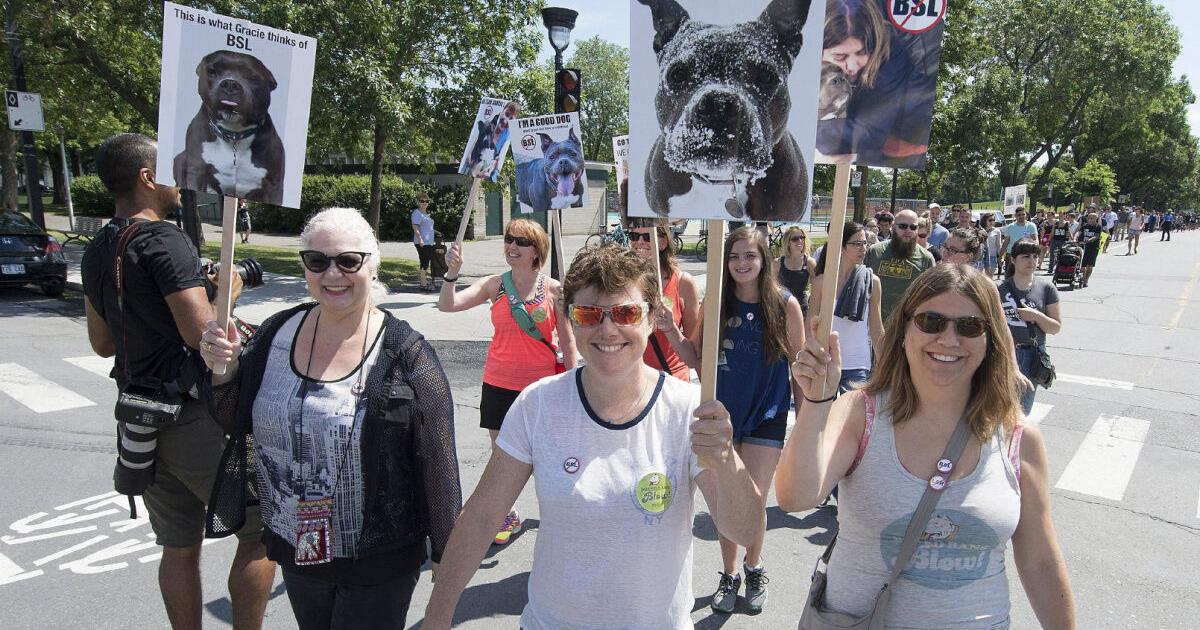 Hundreds march in Montreal to protest pit bull ban
