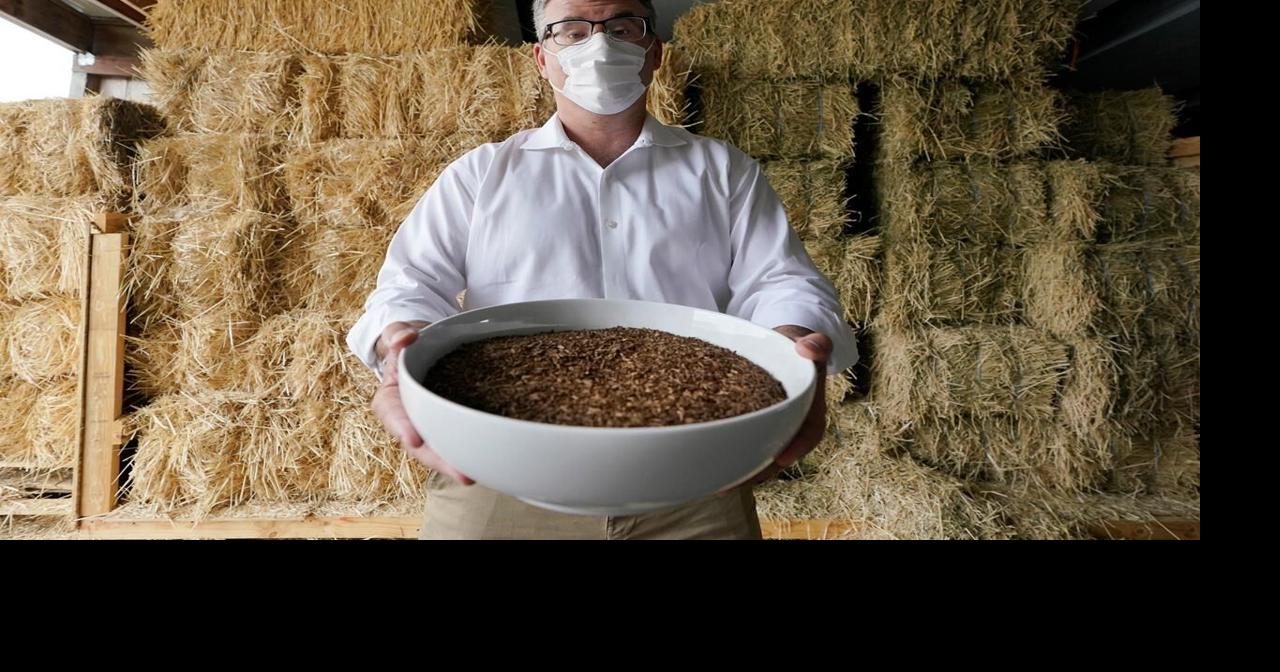 Body composting a ‘green’ alternative to burial, cremation