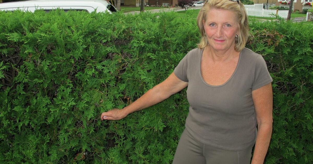 Scarborough neighbours suffer bylaw-wielding wrath of 'vexatious ...