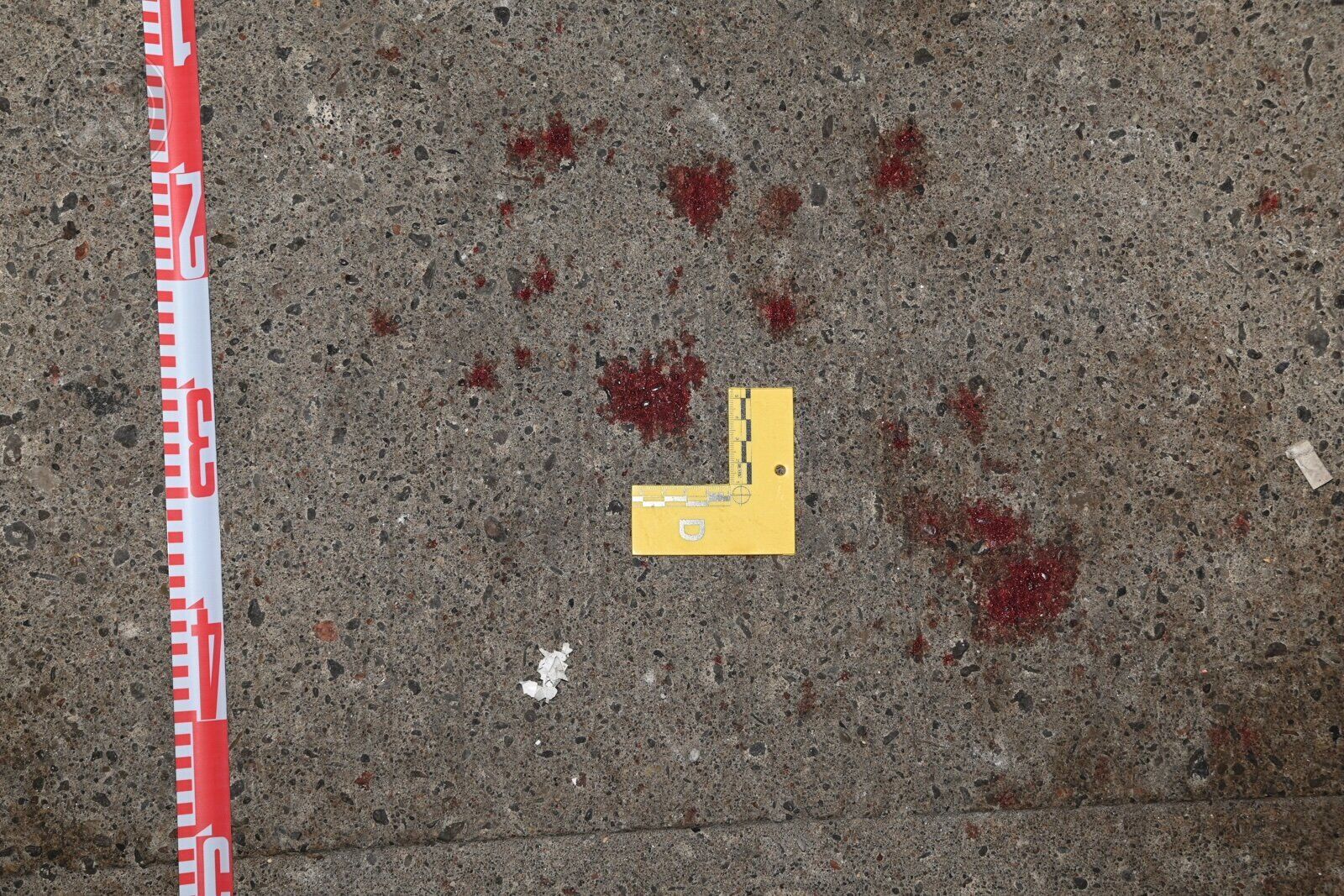 Girl accused of fatally stabbing Kenneth Lee in swarming case not ...