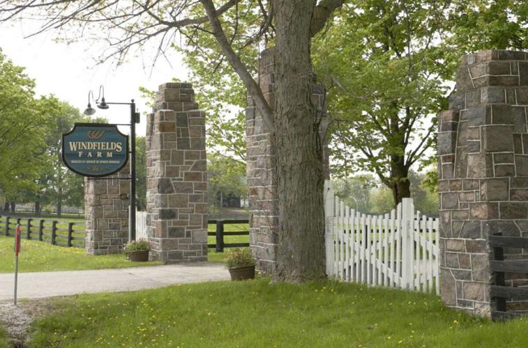 ‘Homely little horse’ Northern Dancer won Kentucky Derby and Canada ...