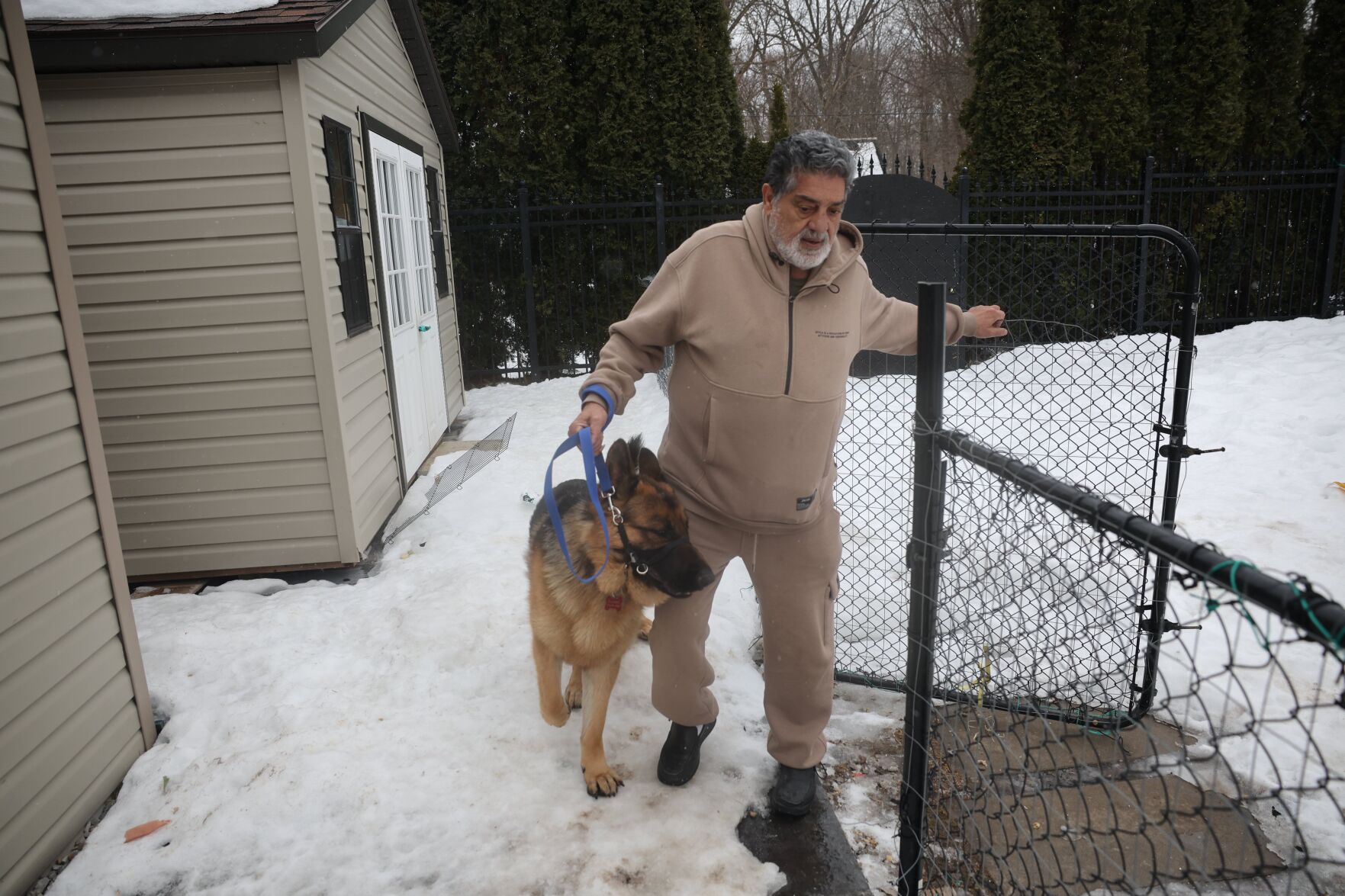 Thornhill man catches stranger attacking his dog in backyard