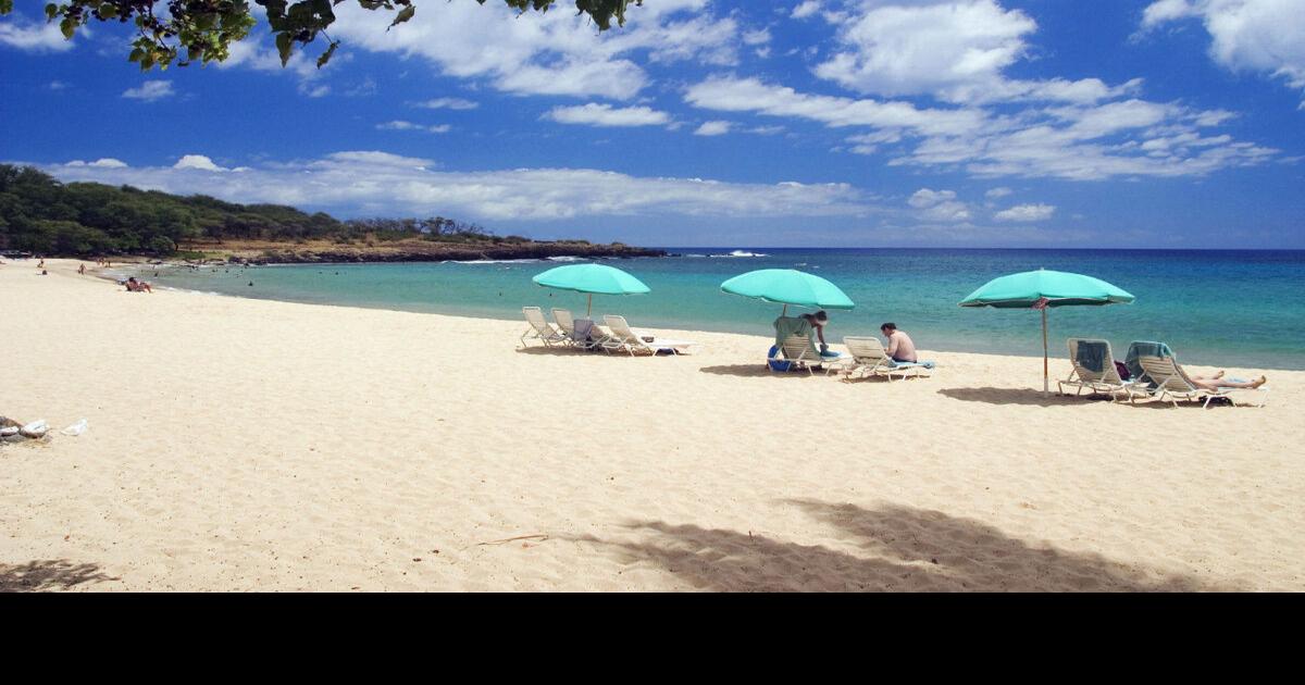 Oracle CEO Larry Ellison buys Hawaiian island