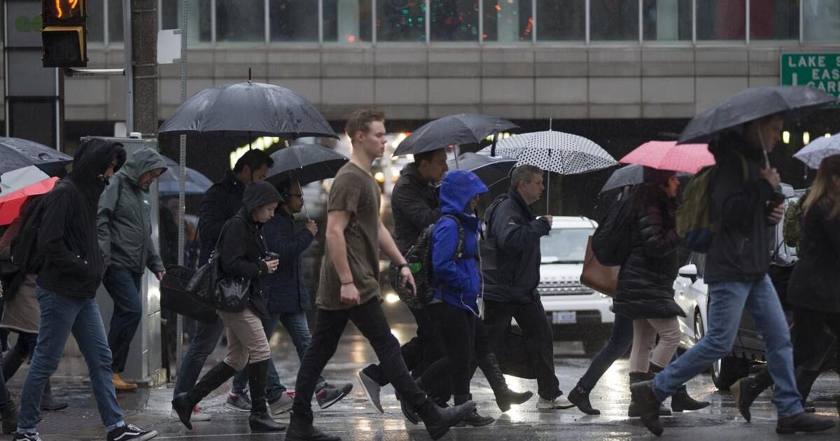 Strong winds and heavy rainfall warning in effect for Toronto