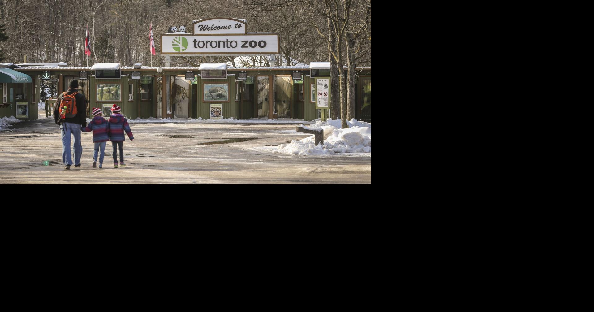 Toronto Zoo hit by ransomware attack