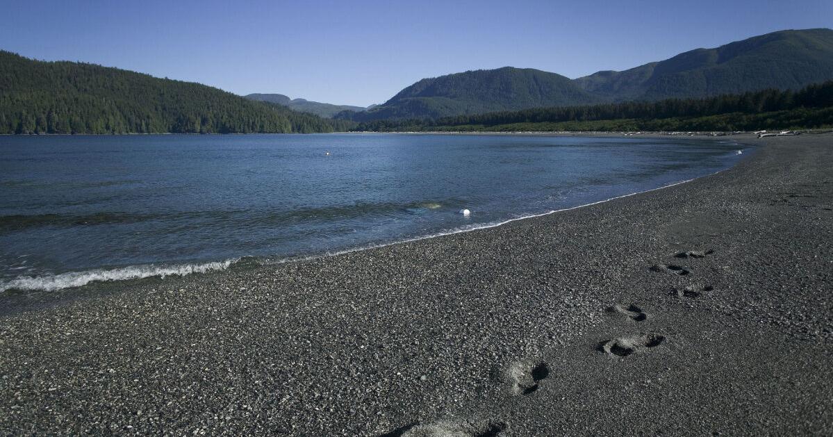 B.C. hiker stumbles across running shoe containing human foot