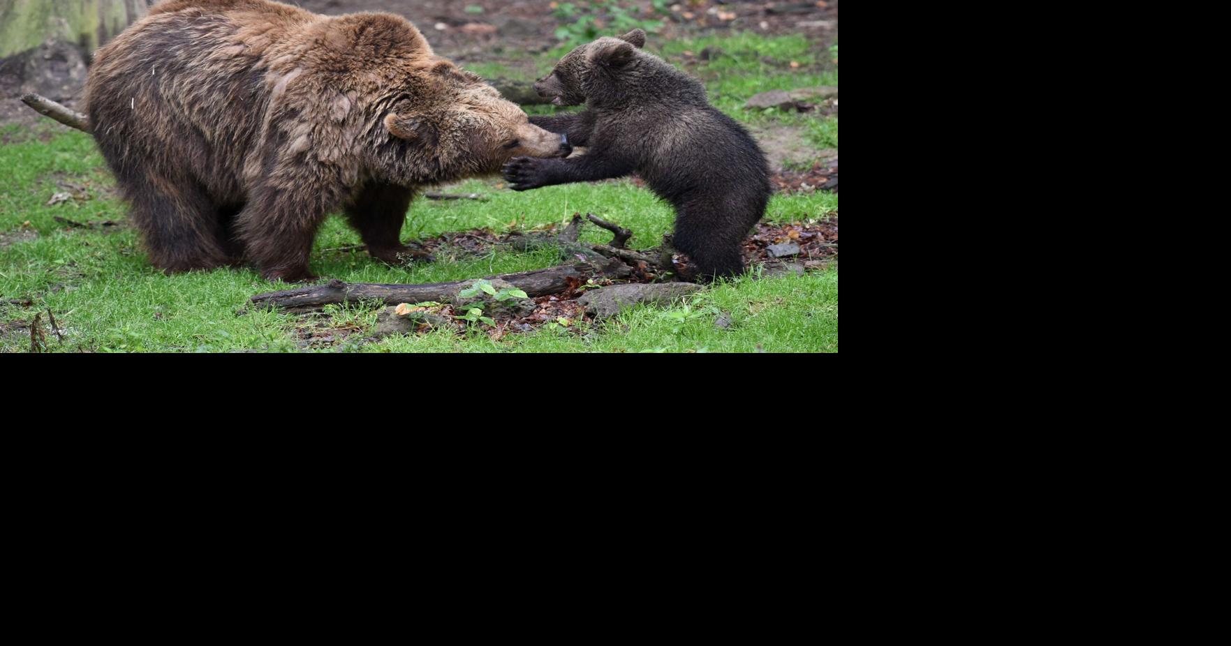 Playtime with mom
