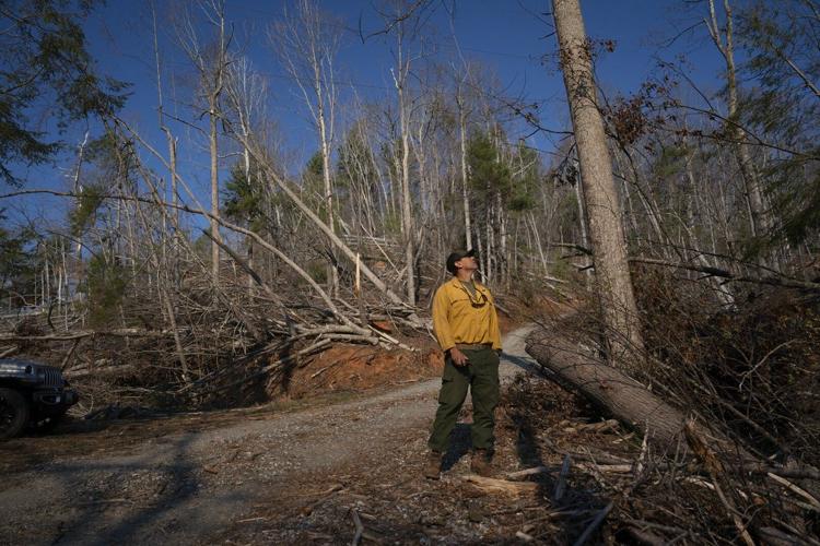 Firefighters make progress on containing some Carolina wildfires, but others grow