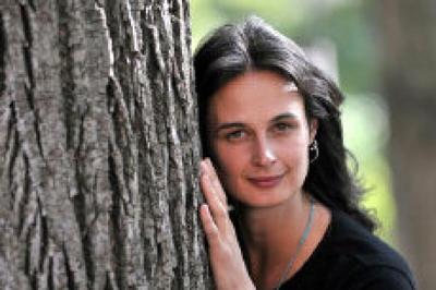 julia butterfly tree