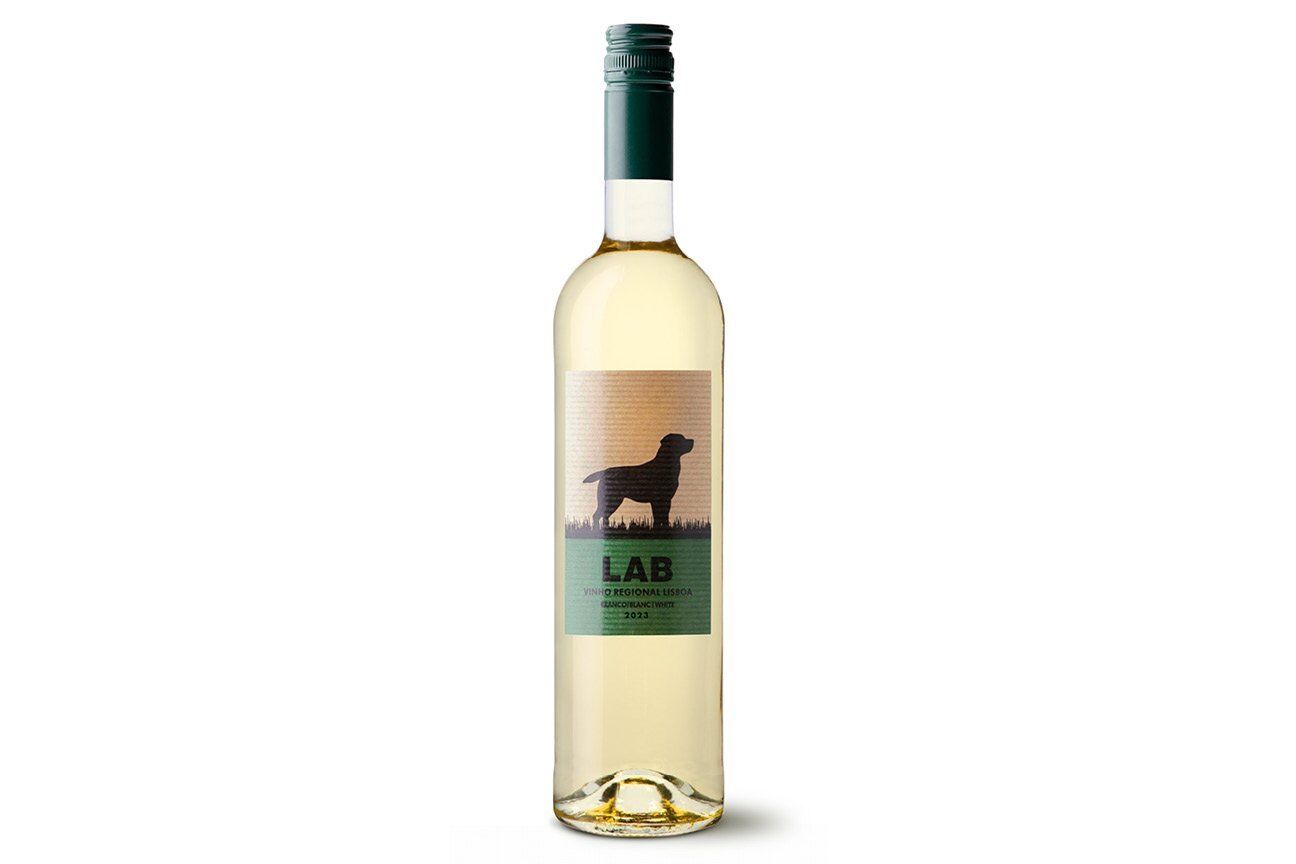 This $10 white wine at the LCBO offers shockingly good value
