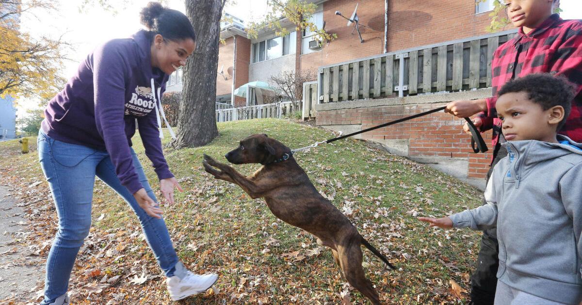 Stranger pays $5K to reunite Kimbo the dog with his family