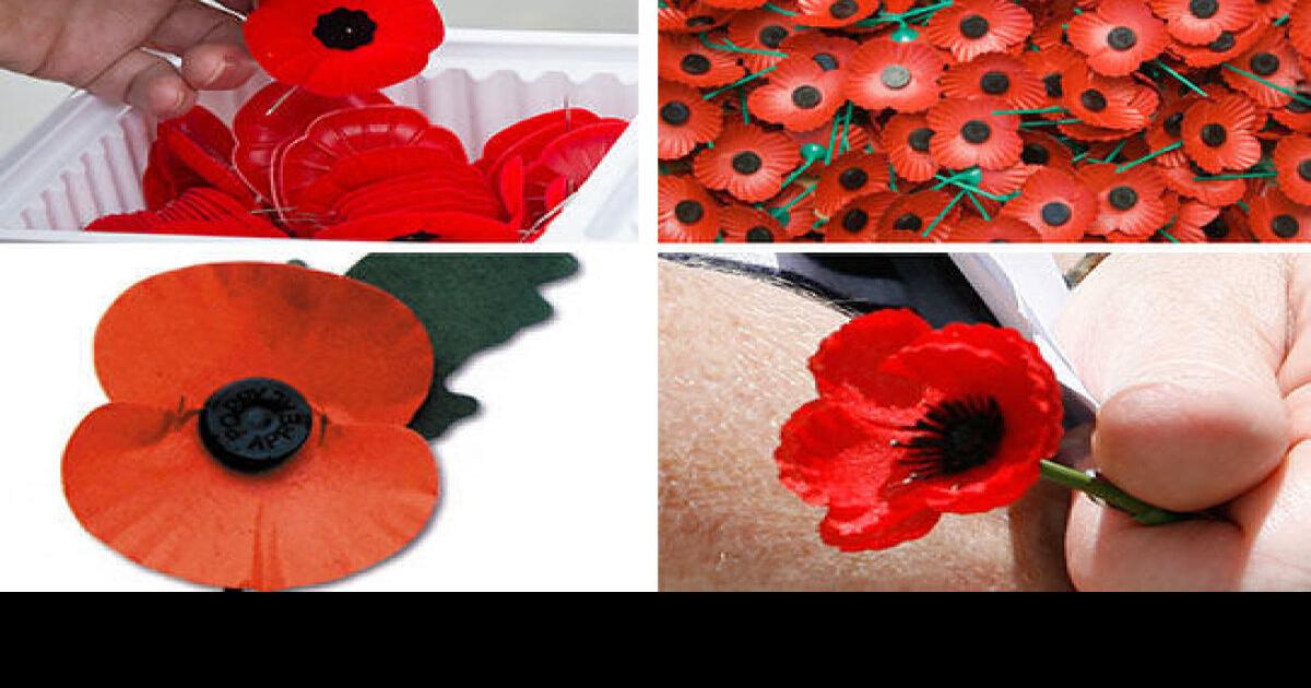 Why not all poppies look the same