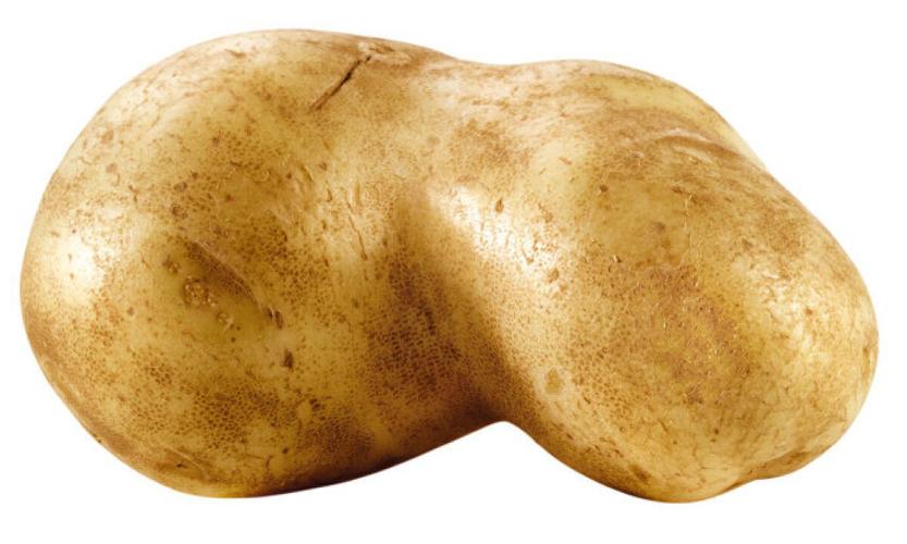 Loblaws sells ugly fruit at a discount to curb food waste
