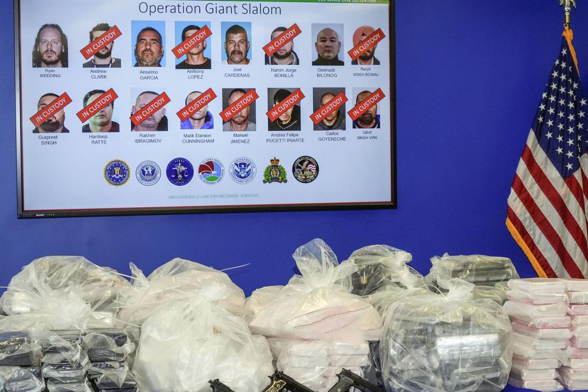 Who are the 10 Canadians in the Ryan Wedding drug bust?