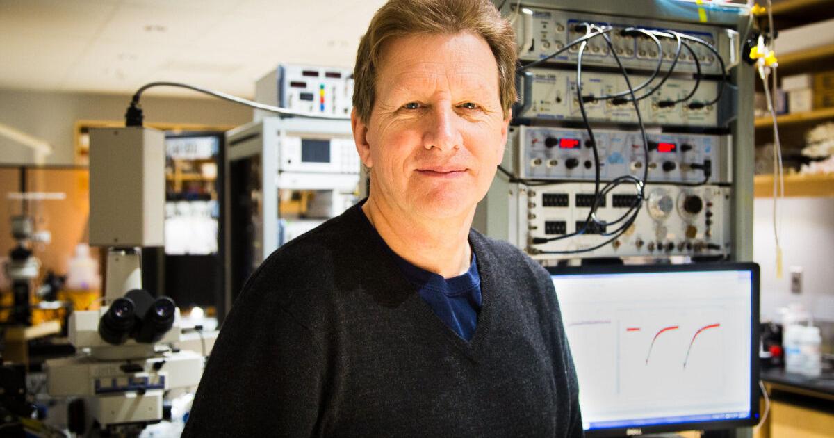 Inspiration and luck drove Graham Collingridge, winner of Brain Prize