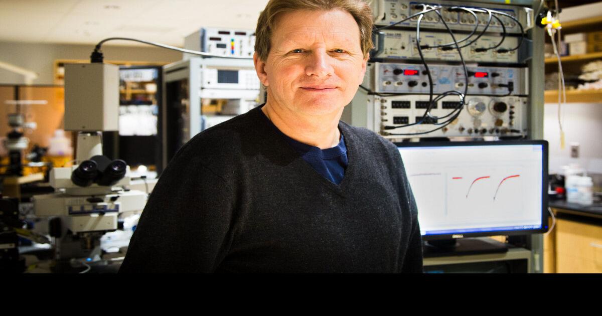 Inspiration and luck drove Graham Collingridge, winner of Brain Prize