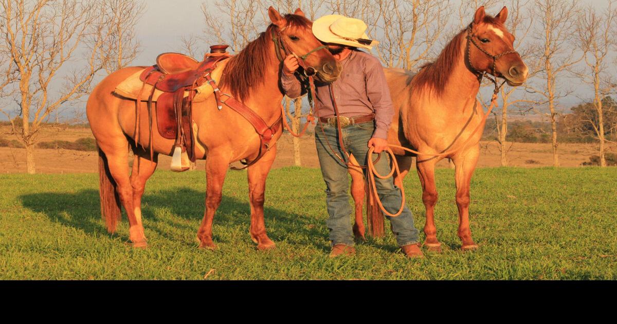 Journey to the end of the world: if a cowboy could call in sick