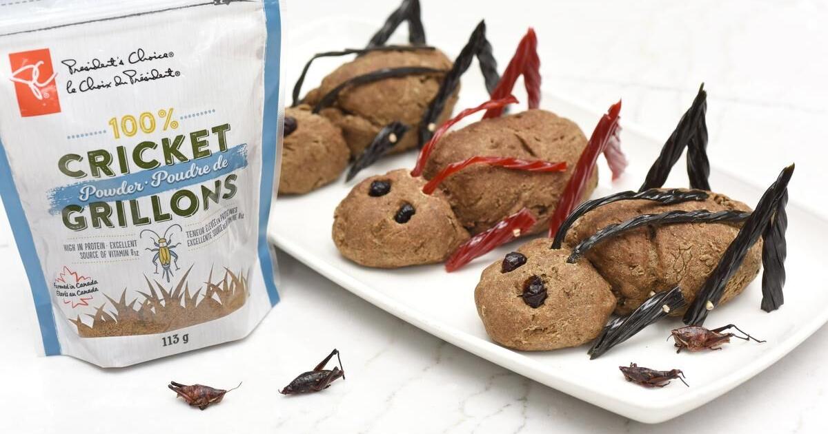 Cricket Buns