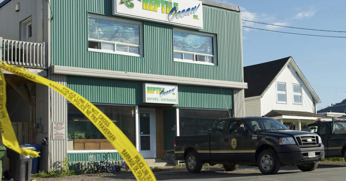 Python tragedy: Animals to be seized from New Brunswick snake shop