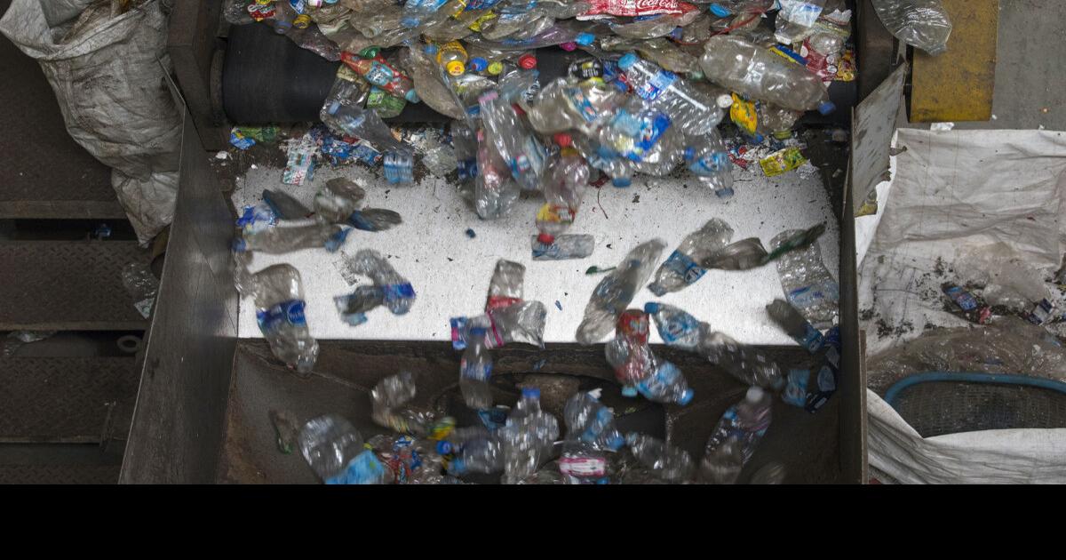 Environmental Defence renews call for plastic bottle deposit return system