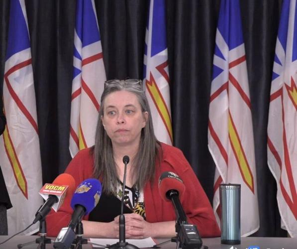 Newfoundland cancels in-person voting the night before election, as ...