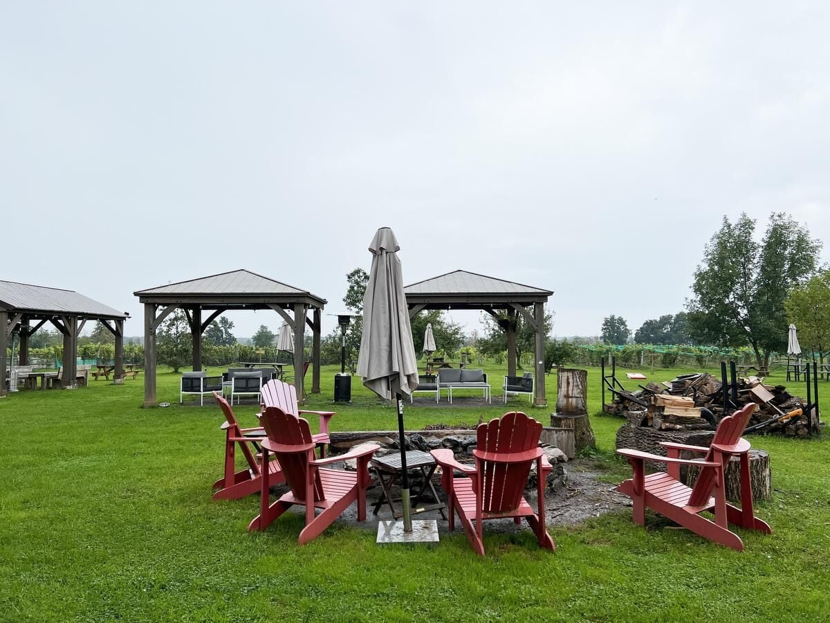 Dog-friendly Prince Edward County: Where to eat, drink and play with ...