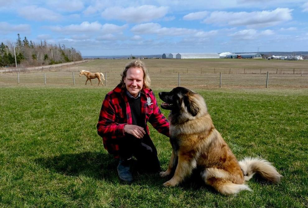 From Trailer Park Boys to pandemic therapist: Jonathan Torrens will see ...