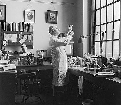 penicillin discovery bbc