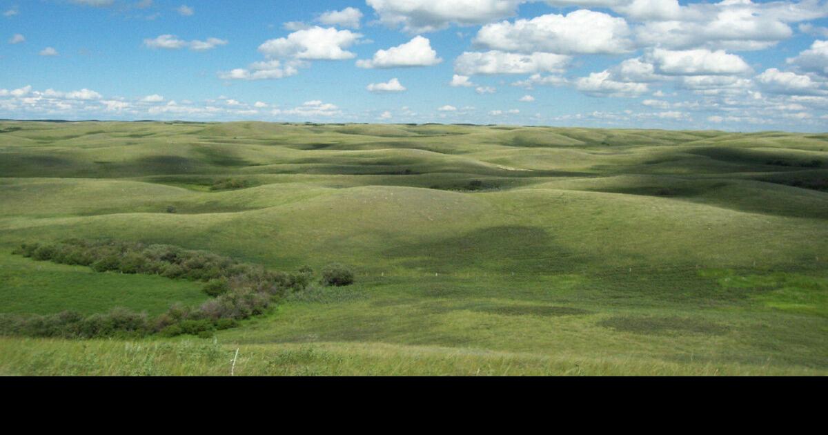 My favourite place: Feeling free on Saskatchewan’s grasslands
