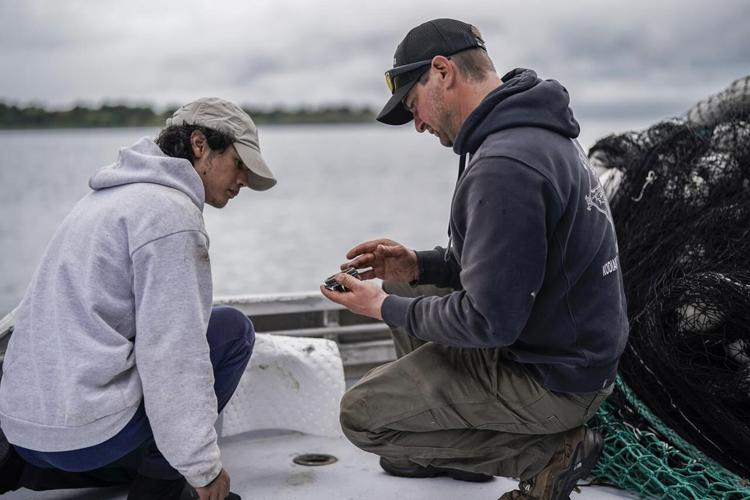 As climate change and high costs plague Alaska's fisheries, fewer young ...