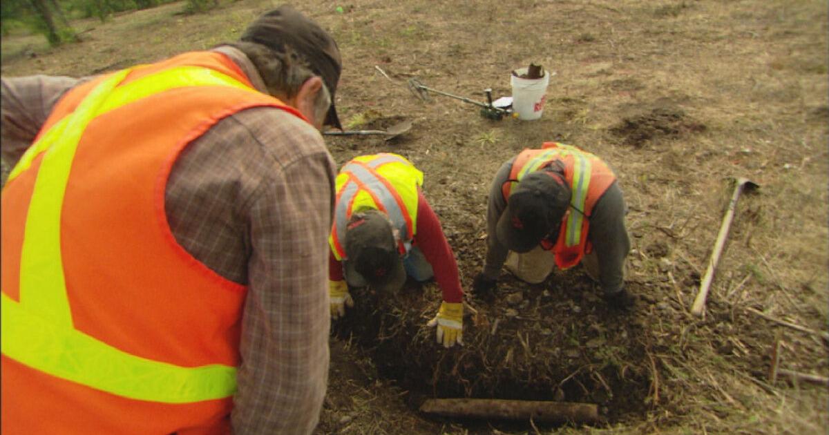 Bomb Hunters: Thousands of dormant — but deadly — explosives litter the ...