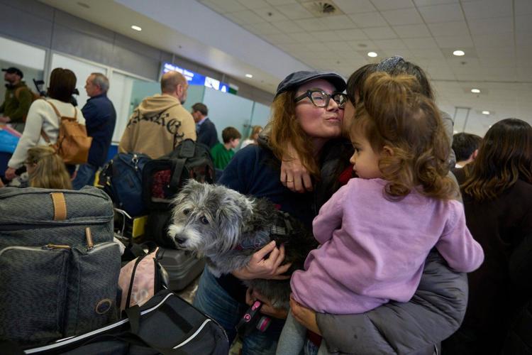 Greece launches an animal airlift to evacuate pets and their owners ...