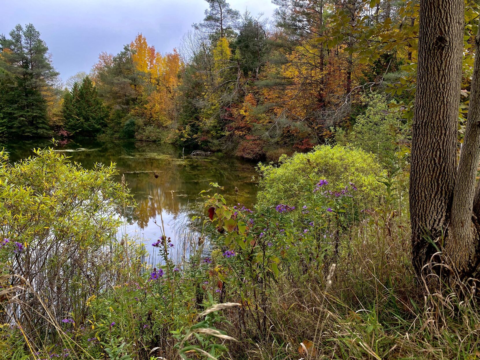 Best places in Ontario to see picture-perfect fall foliage