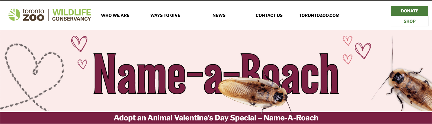 Name a cockroach after someone in Toronto this Valentine’s Day