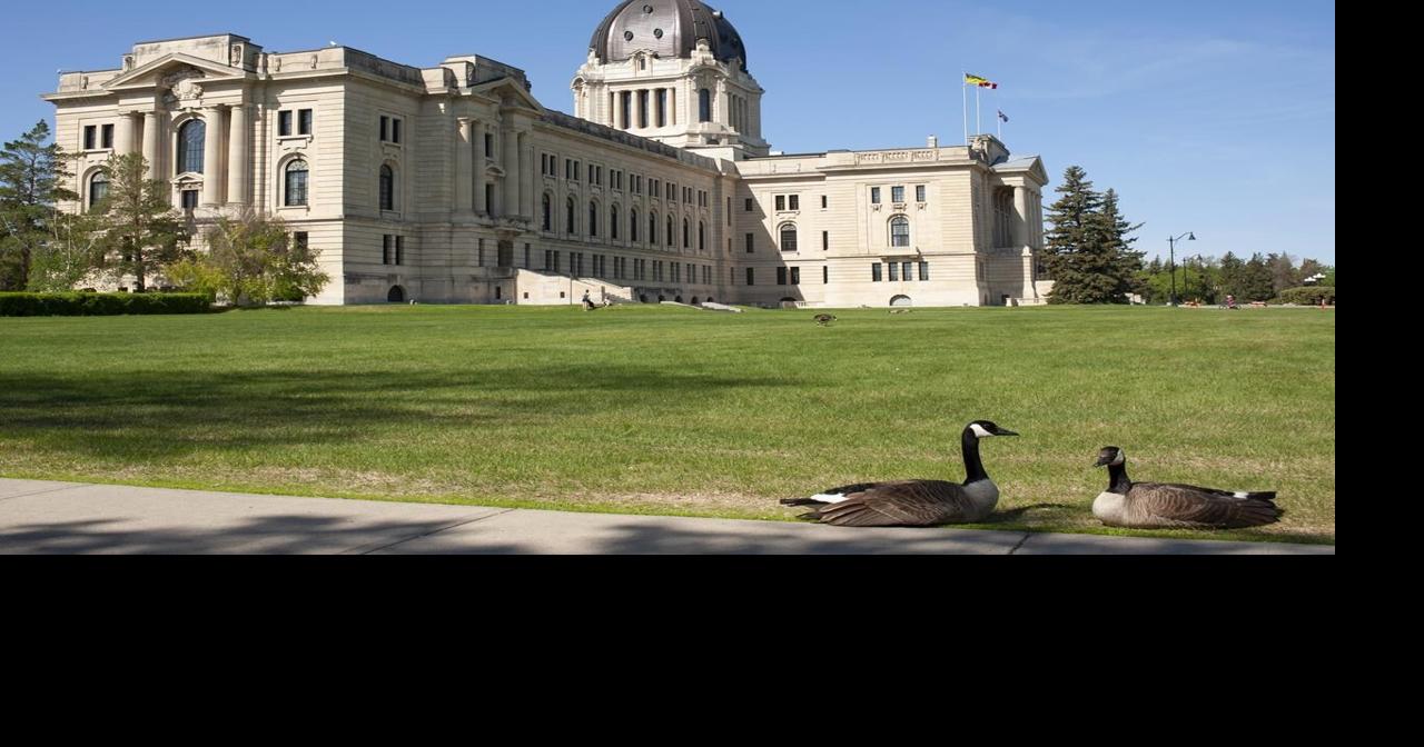 Saskatchewan election: Five constituencies to watch in the provincial vote