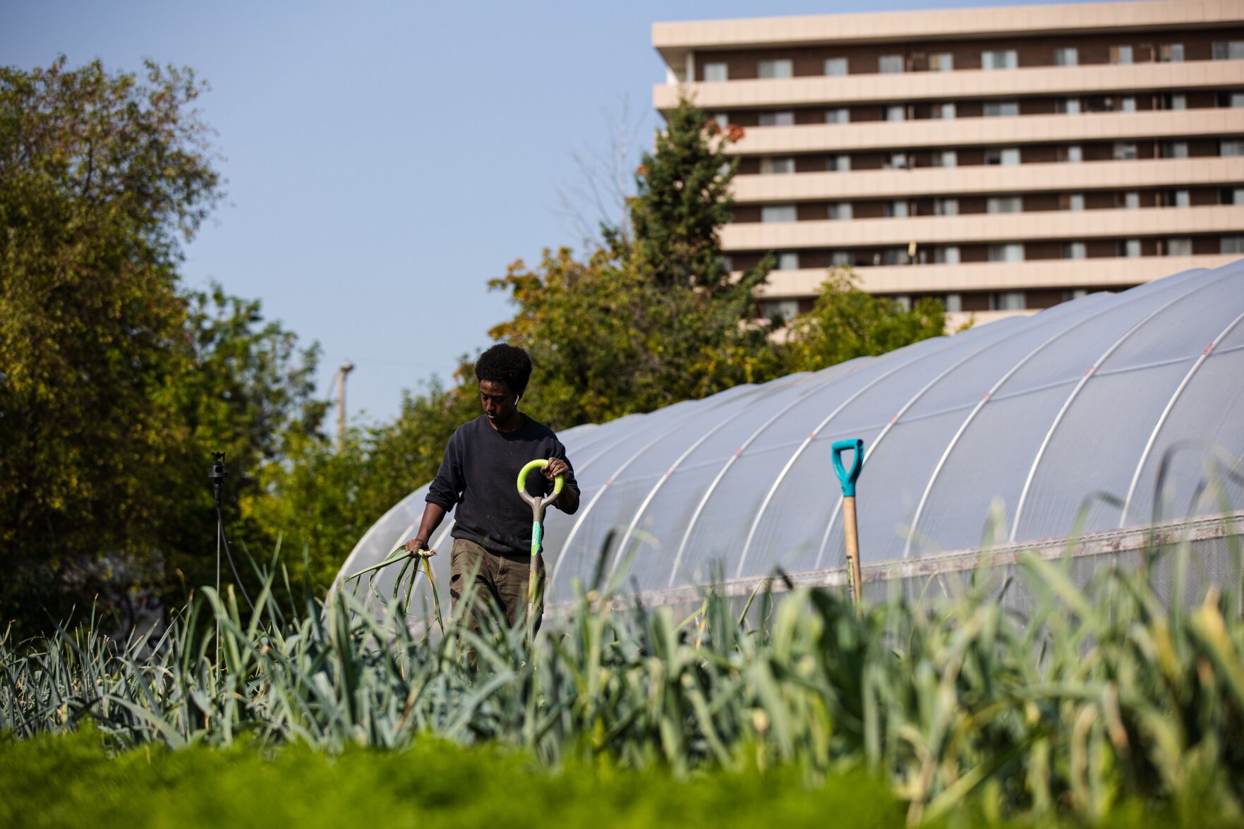 This Toronto’s urban farm’s next step? A new cooking hub