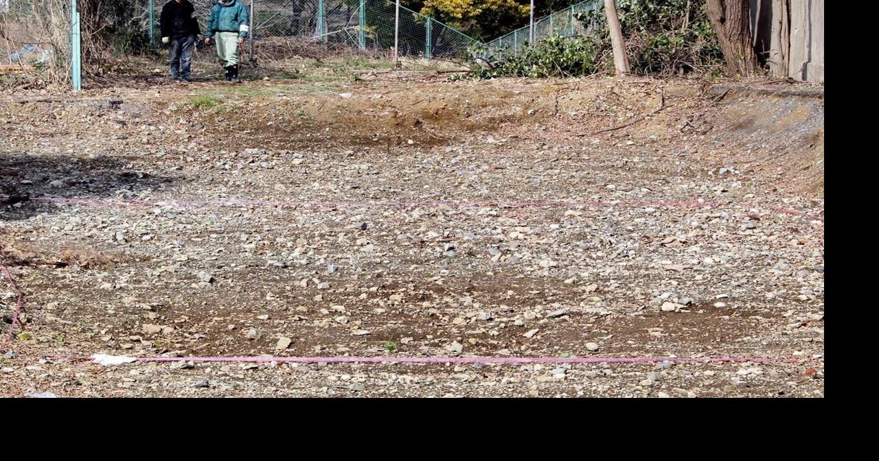 A mysterious pile of bones could hold evidence of Japanese war crimes ...